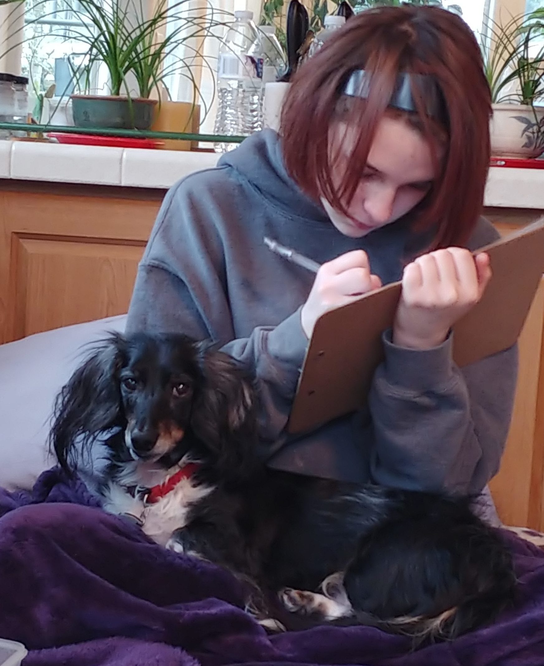 Weasel • Old Dog Haven