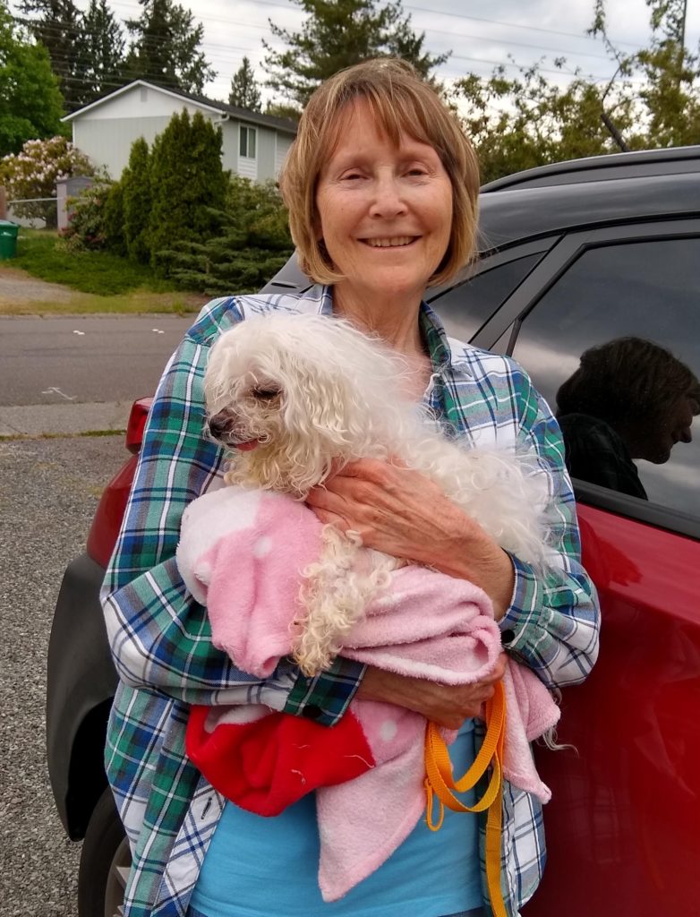 Perry • Old Dog Haven