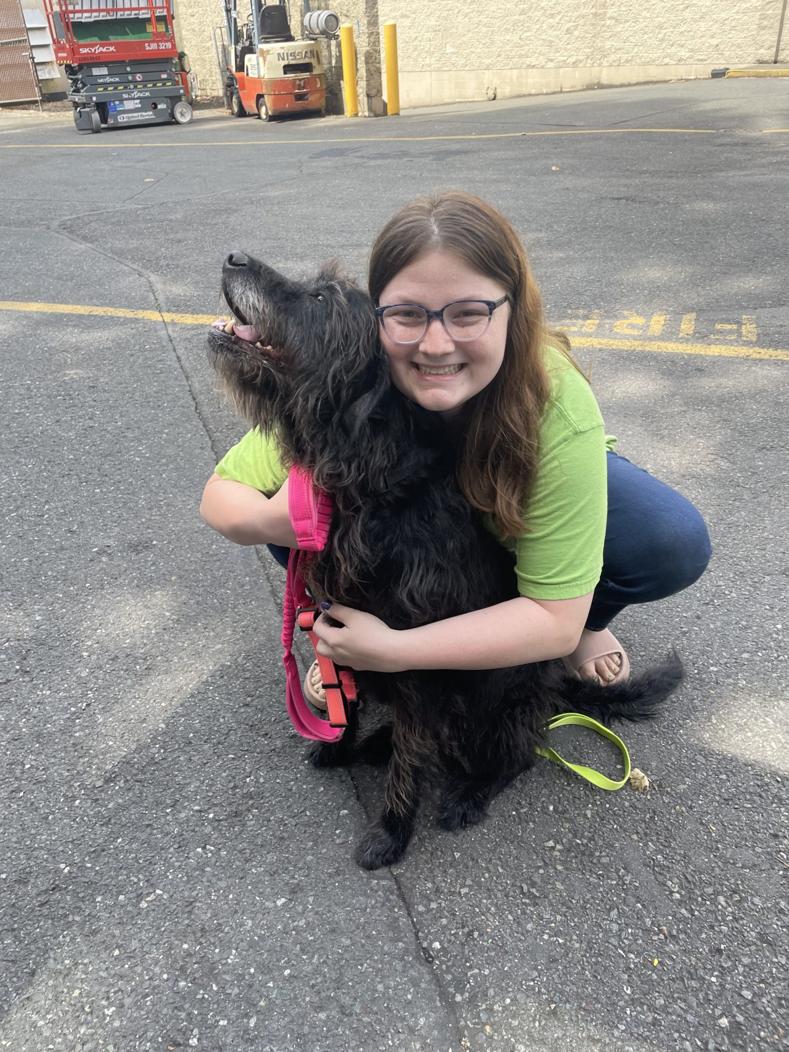 Bella Mae • Old Dog Haven