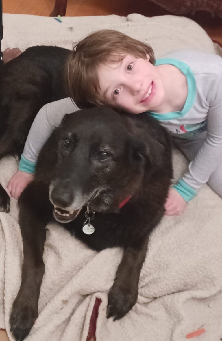 Jasper (Lab) • Old Dog Haven